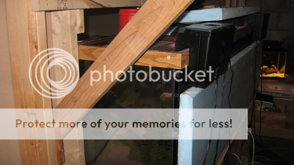 insulating tank? | Cichlid Fish Forum