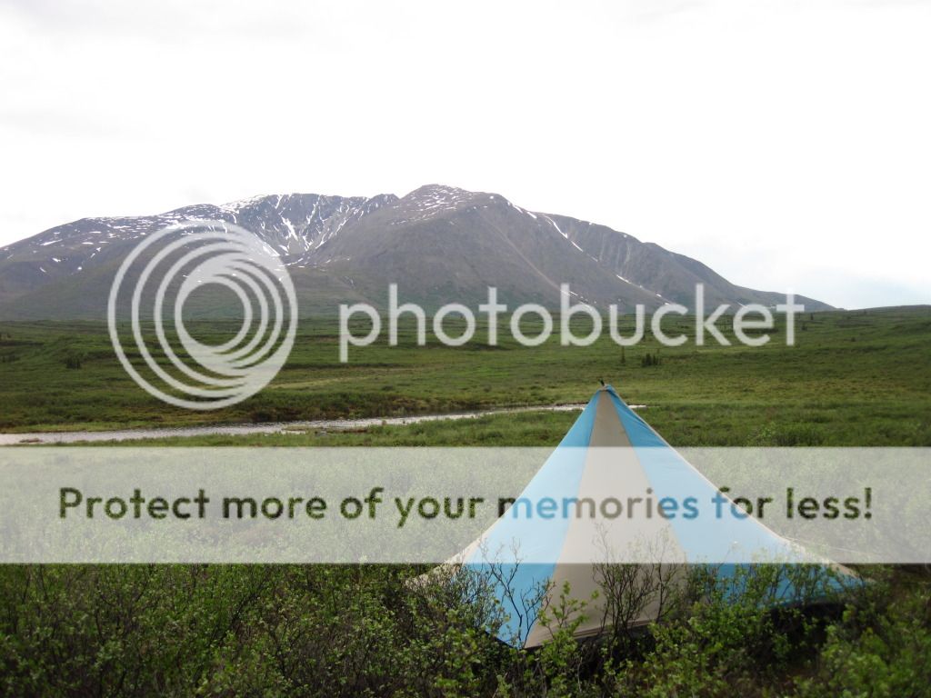 Camped at the foot of Mount Watana deep in the Alaskan wilderness [OC ...