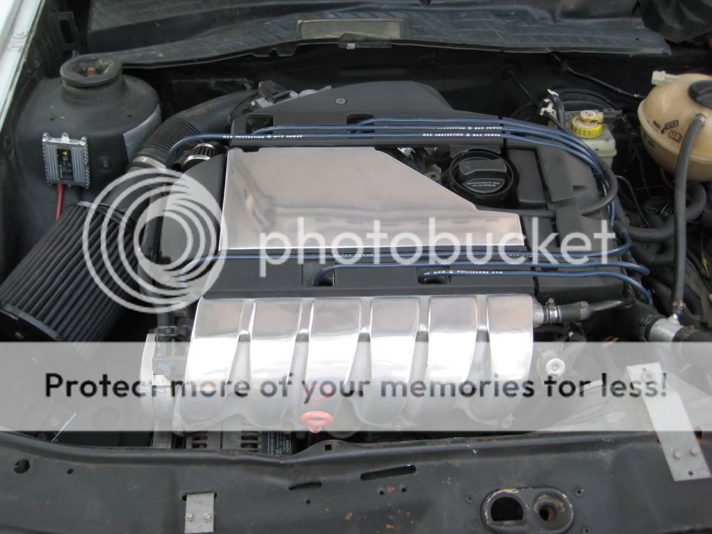 white gti vr6 obd2 miami FL | VW Vortex - Volkswagen Forum